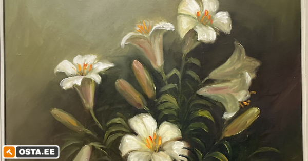 Osta.ee - oksjonid, e-poed ja Eesti Disain - rohkelt eripakkumisi - Osta.ee