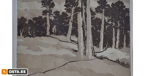 Esko Lepp "NÕMM" (202702372) - Osta.ee