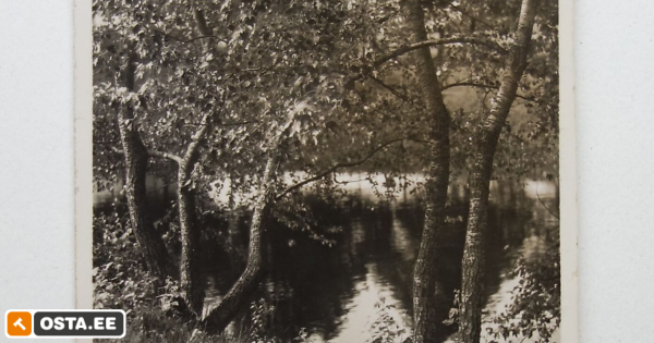 EW ,, Pärnu-Sauga jõgi (192387657) - Osta.ee