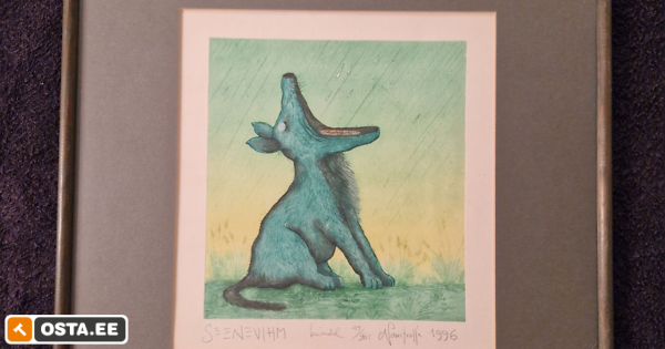 Navitrolla "Seenevihm" (223794989) - Osta.ee