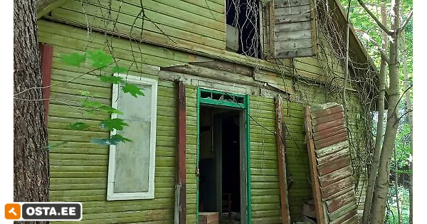 Kinnistu Oja, Sipelga küla, Peipsiääre vald (191510671) - Osta.ee