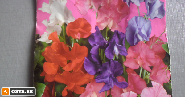 Lillhernes mix 3 s (157805881) - Osta.ee