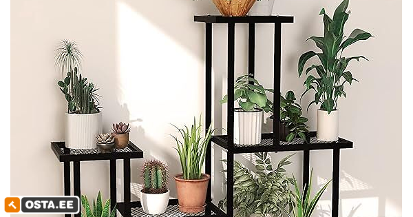 MEGA! Taimealus, Lillealus siseruumides, UUS! (200753275) - Osta.ee