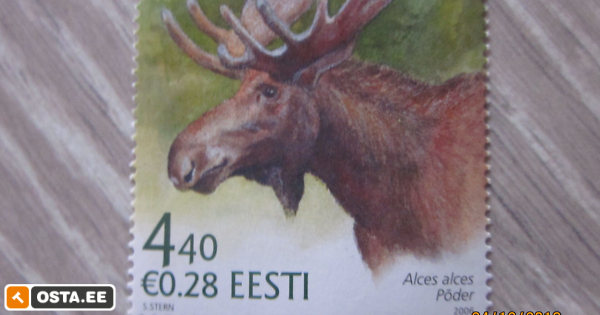 Eesti loomad, fauna (204255636) - Osta.ee