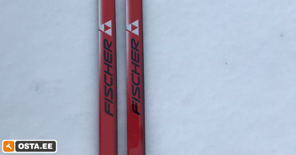 Fischer CS Classic 195 cm (203929368) - Osta.ee