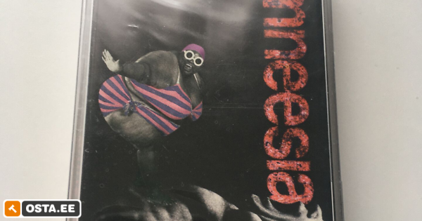 Singer Vinger - Amneesia 1996 UUS JA KILES (183690839) - Osta.ee