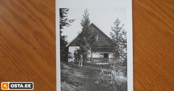 ETNO EESTI TALU , KOER ,0 (177432663) - Osta.ee