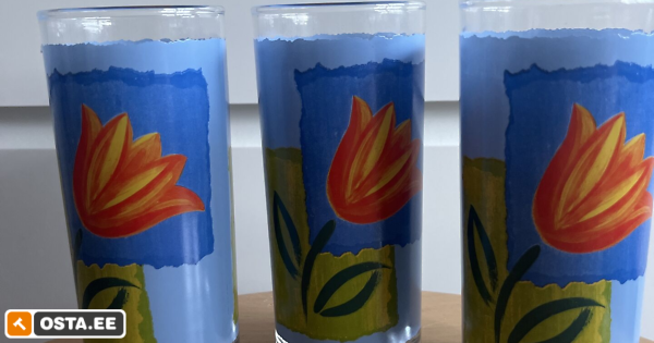 Luminarc tulbi klaasid (208565834) - Osta.ee