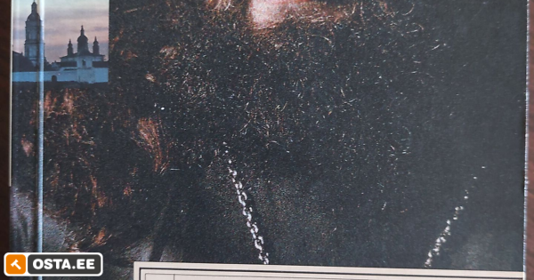 Akunin*Pelagia ja must munk*provintsidetektiiv (199469929) - Osta.ee