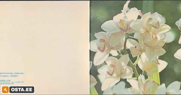 Postkaart / õnnitluskaart V.Maask 1979 (L143) (202034576) - Osta.ee