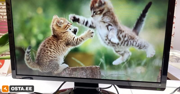 Monitor BenQ G2420HDB (176000522) - Osta.ee