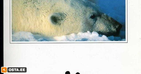 Jugoslaavia voldik 1988 WWF sari "Pruunkaru". (212617793) - Osta.ee