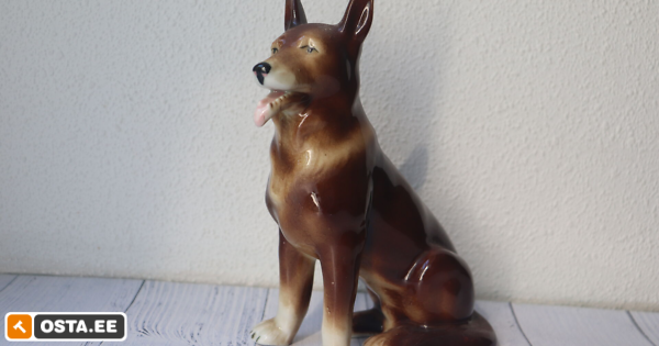 kujuke 0.10 0,10 (196483565) - Osta.ee