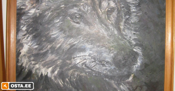 Hundi pilt (149736631) - Osta.ee