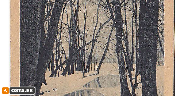 Eesti, talvine maastik; postkaart enne 1940 (197579576) - Osta.ee