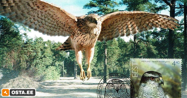 EESTI MAKSIKAART 2005 - Aasta lind - Kanakull (196924989) - Osta.ee