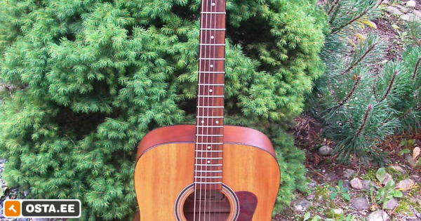 Akustiline kitarr Hohner HW-300 (169400060) - Osta.ee