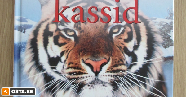 Suured kassid (196966283) - Osta.ee