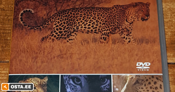 DVD- BBC Loodusdok. "WILDLIFE SPECIALS : LEOPARD" (191573324) - Osta.ee