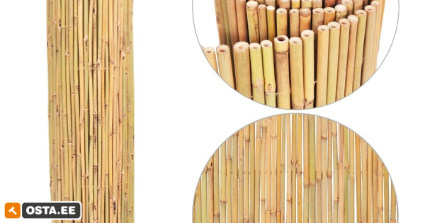 Bambusaed, 300 x 125 cm (140338375) - Osta.ee