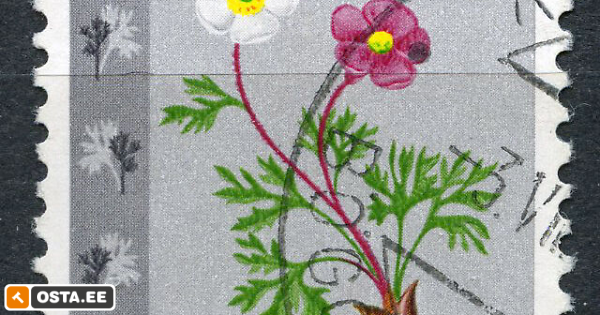 Island mark lill 1964 templiga (197803951) - Osta.ee