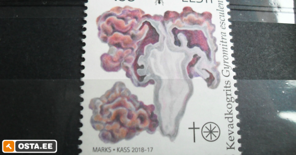 eesti seened 2018,kevadkorgits-puhas (203605120) - Osta.ee