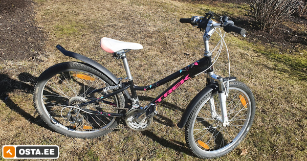 Korralik TREK jalgratas 24" (194588560) - Osta.ee